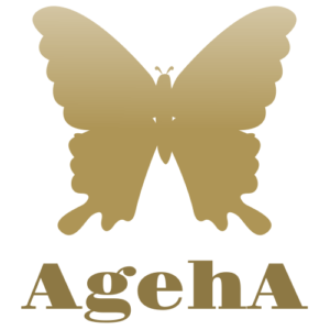 会社概要 - 株式会社AgehA(アゲハ)